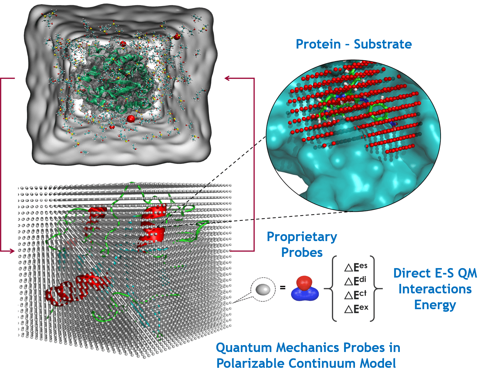 7d Grid Enzyme Engineering Technology ® – Kcat Enzymatic