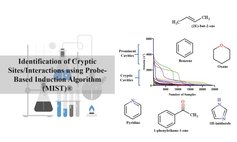 Scientific Posts – Kcat Enzymatic