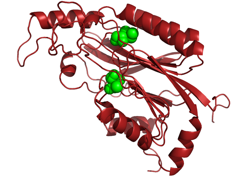 Greenonitrilase® – Kcat Enzymatic