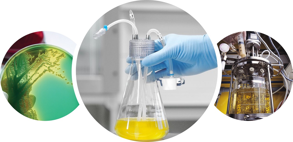 About us – Kcat Enzymatic