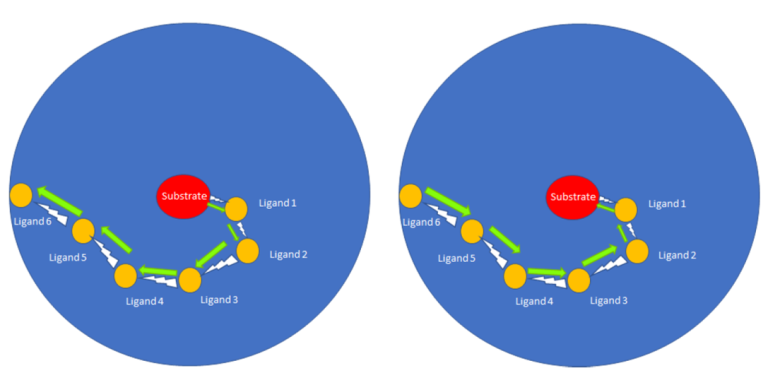 Patents – Kcat Enzymatic