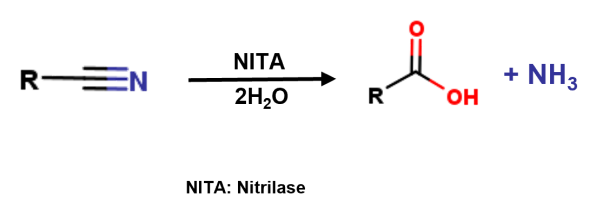 Greenitrilase® – Kcat Enzymatic