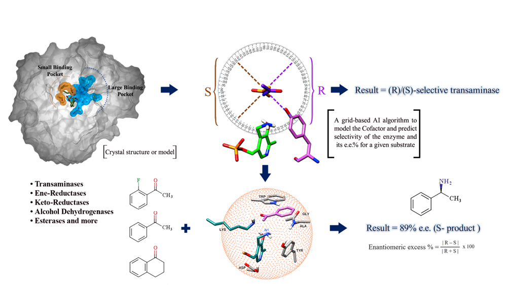 Technology – Kcat Enzymatic