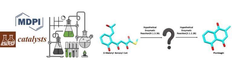 Scientific Posts – Kcat Enzymatic