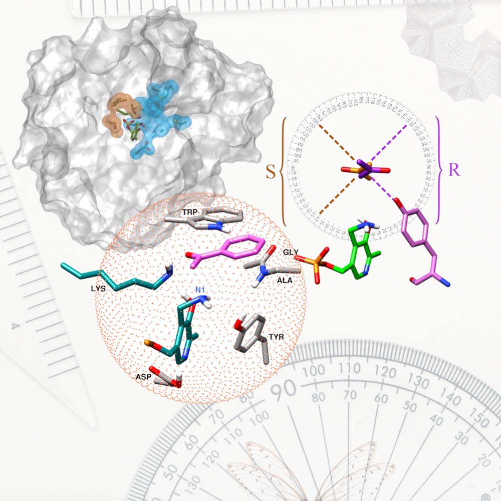 Technology – Kcat Enzymatic