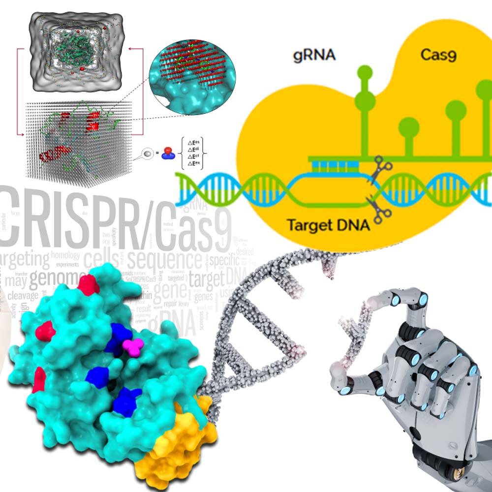 Technology – Kcat Enzymatic