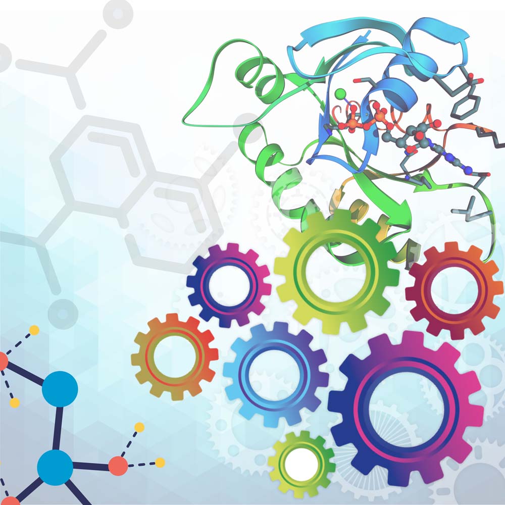 Technology – Kcat Enzymatic