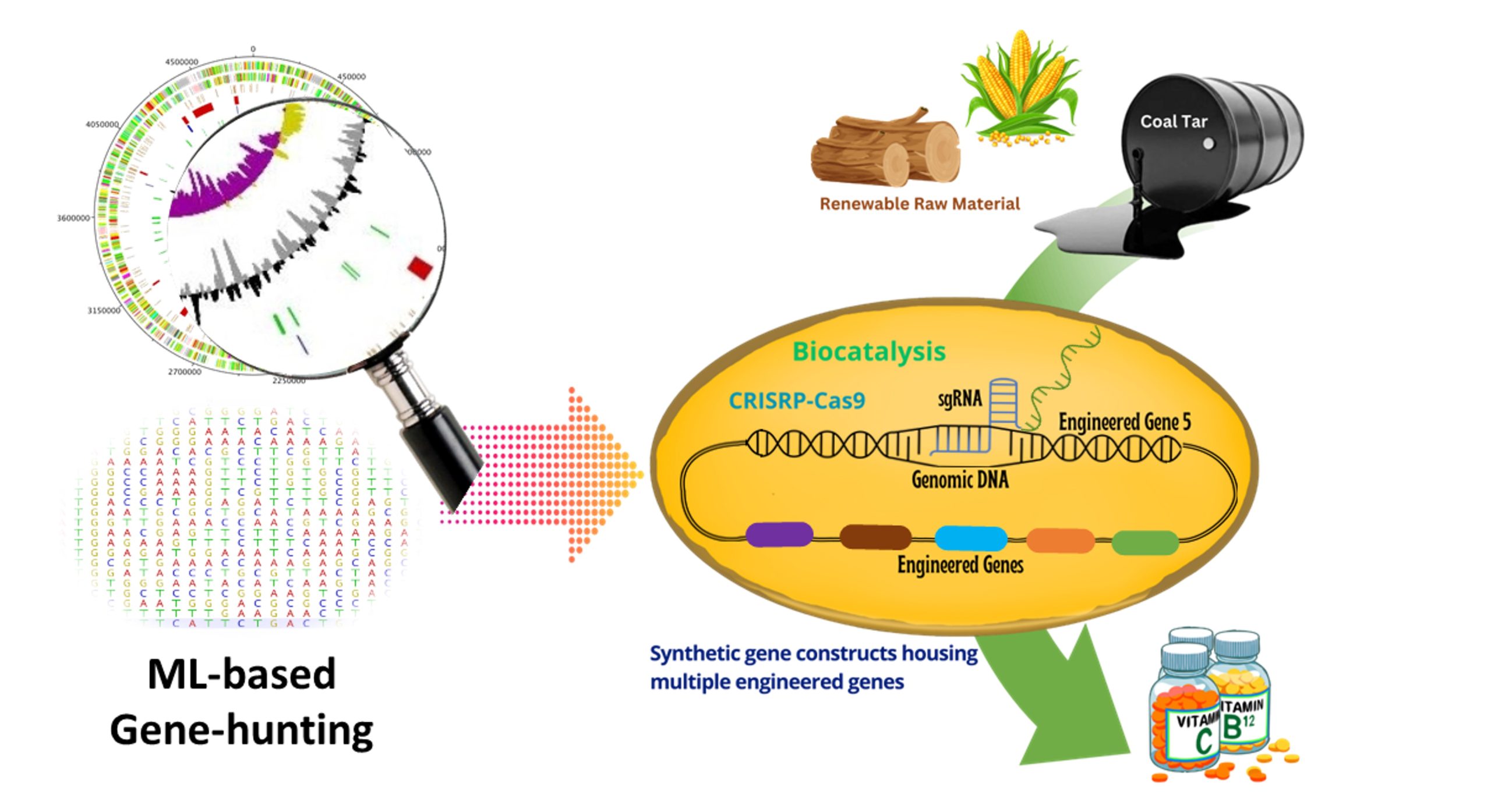 Technology – Kcat Enzymatic
